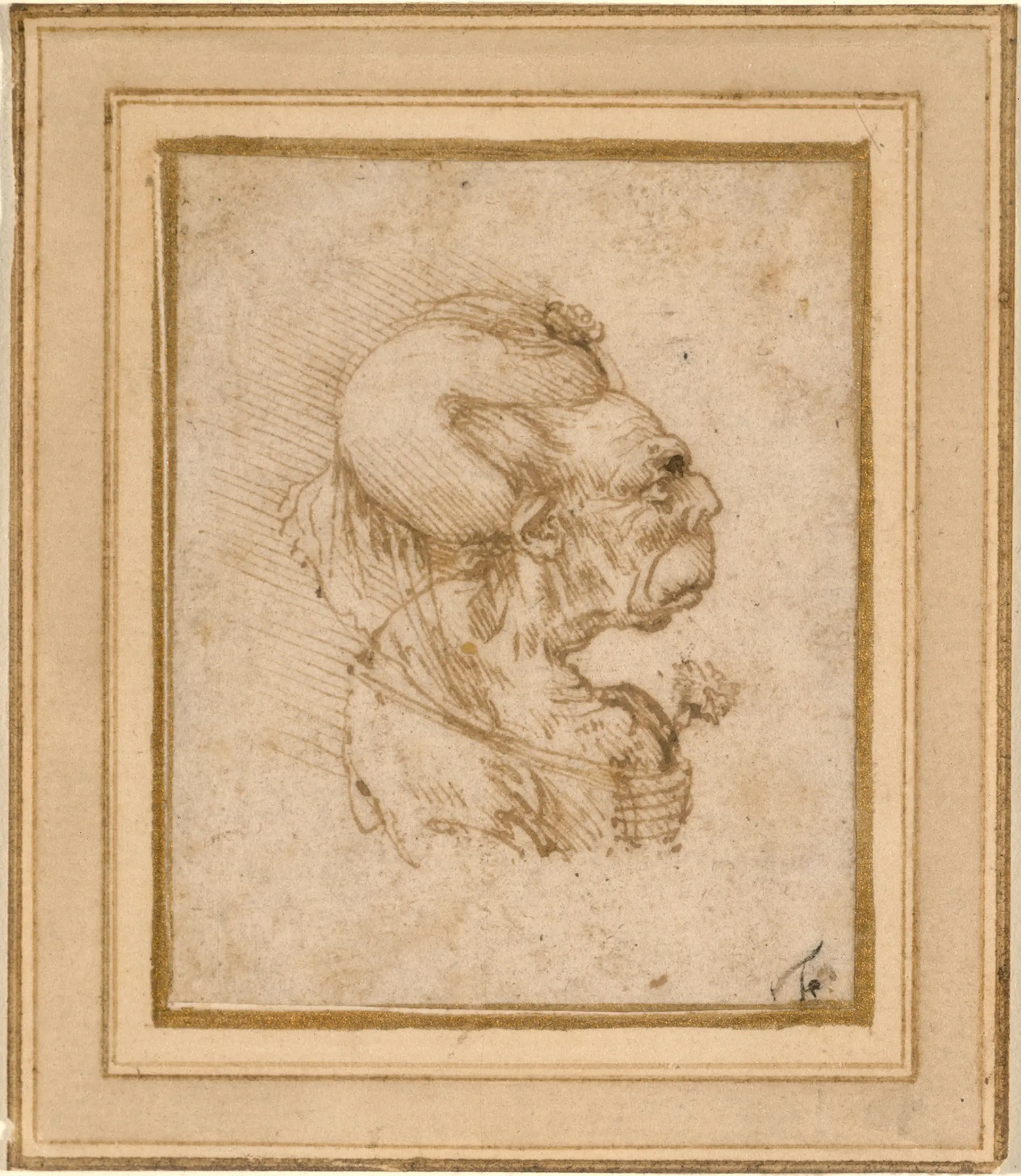 Leonardo da Vinci’s Grotesque Head of an Old Woman acquired by National ...
