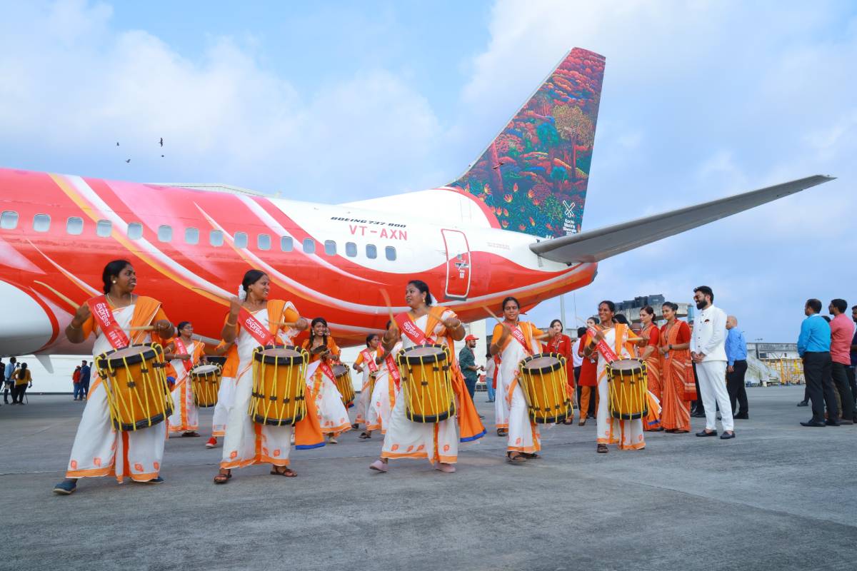 Artworks of creepy crawlies on an Air India aircraft at Kochi Muziris ...