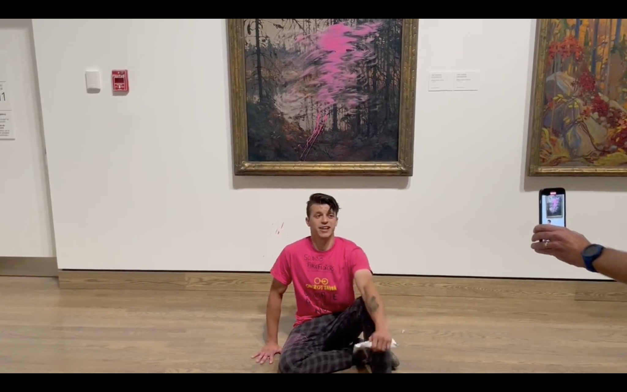 Climate Activists Again! Throws paint on Tom Thomson Art at Canadian ...