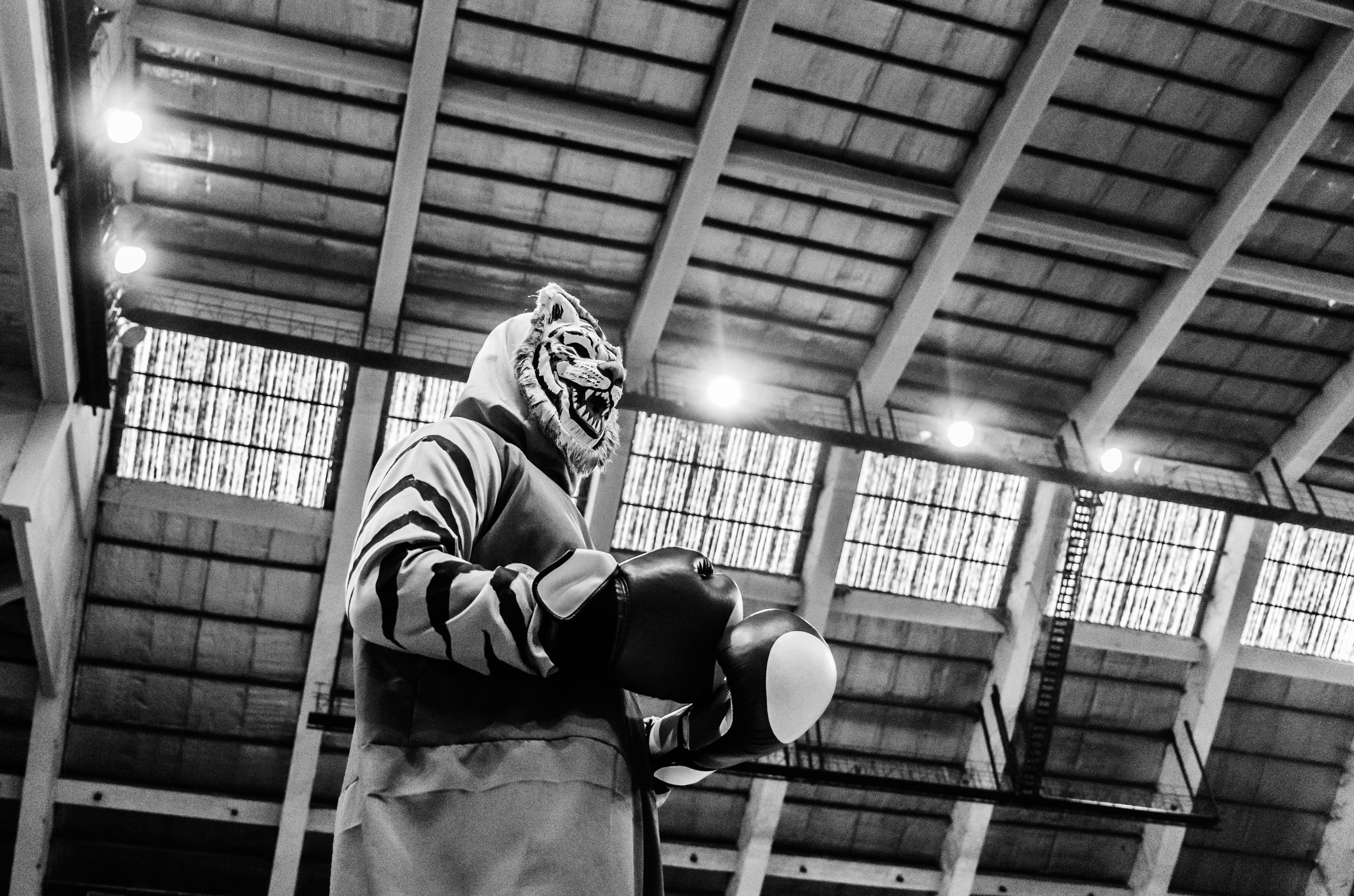 Hidden Narratives in Zobayer’s We Live to Fight - Abirpothi