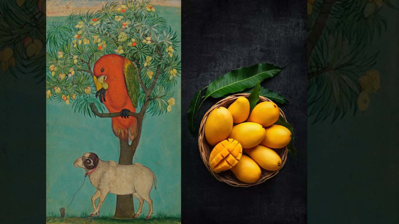 A Literary Journey of Mango in Ancient Indian Texts - Abirpothi