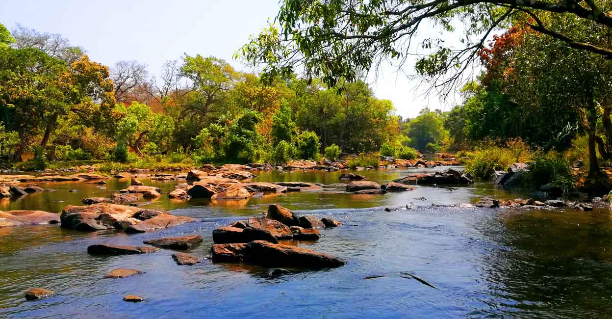 List of 20 Places To Visit In Wayand - Abirpothi